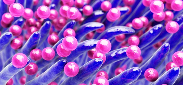 Multiresistente Keime: Sachsen-Anhalt zählt die meisten Fälle