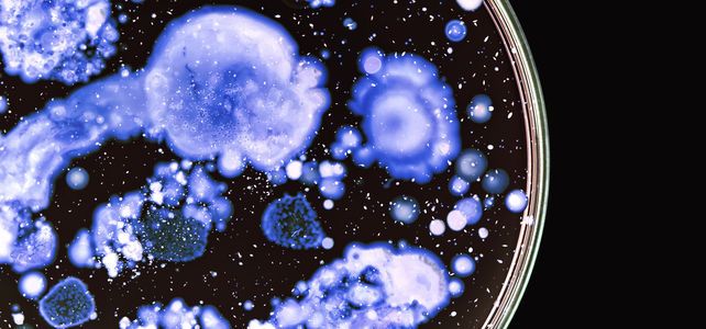 Therapieresistenzen bei Mykosen - wie behandeln?